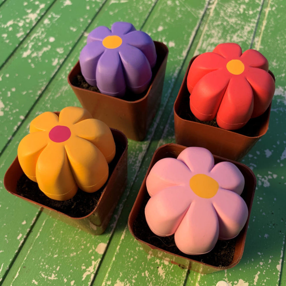 Roller Skate Toe Stoppers - Grippy & Useful For Fast Braking | Bayside ...